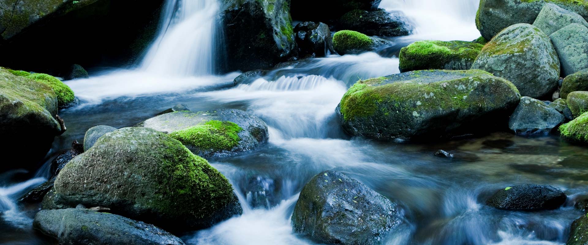 Meet The Practitioners - Energy Healers - Quantum Techniques (QT)